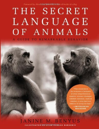 BookPage coverage of 'The Secret Language of Animals'