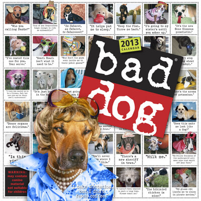 BookPage coverage of 'Bad Dog'